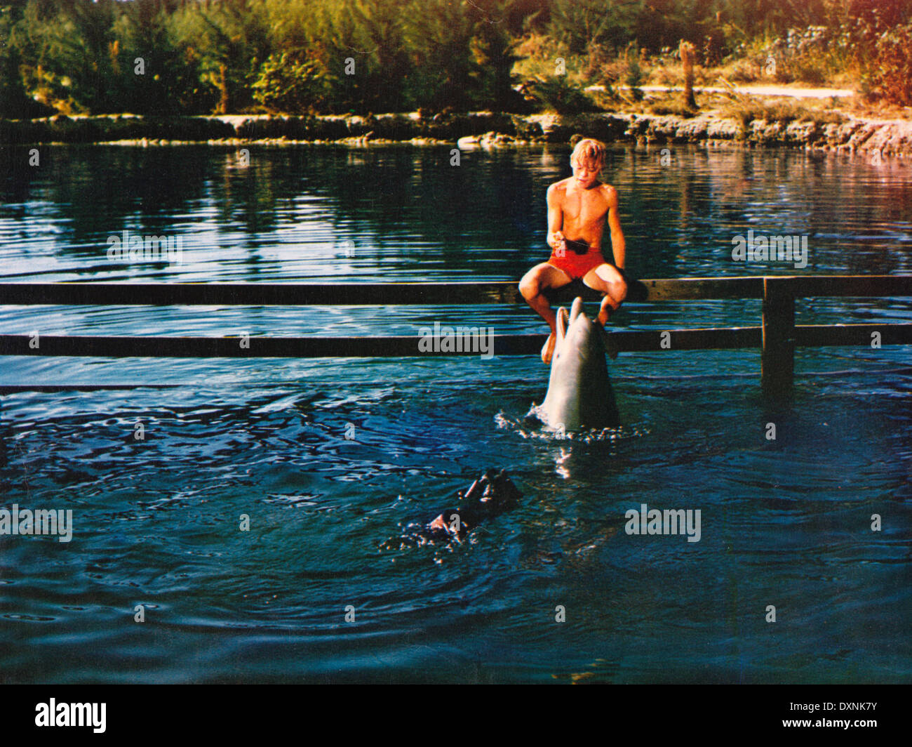 Flipper movie hi-res stock photography and images - Alamy