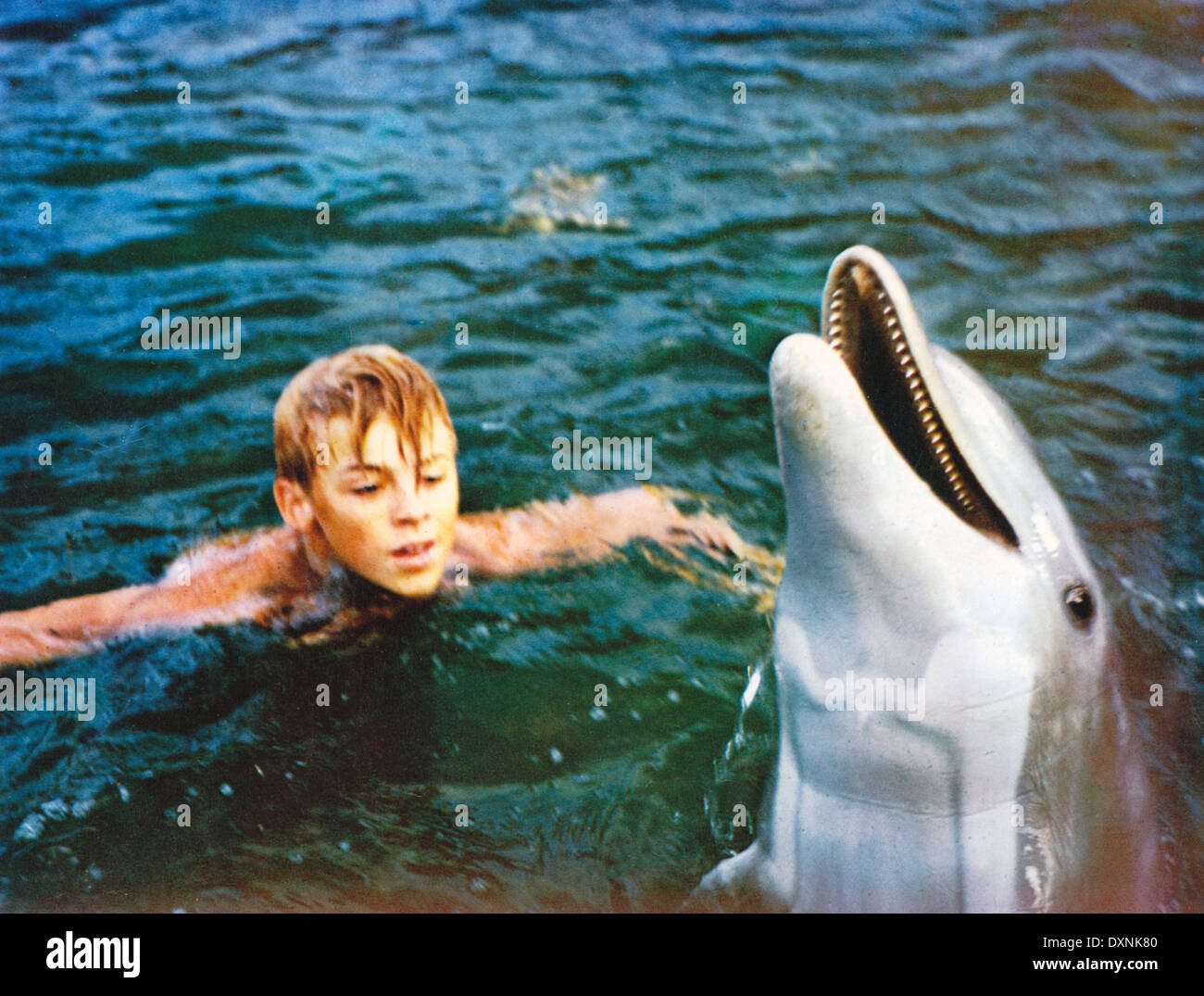 Flipper movie hi-res stock photography and images - Alamy