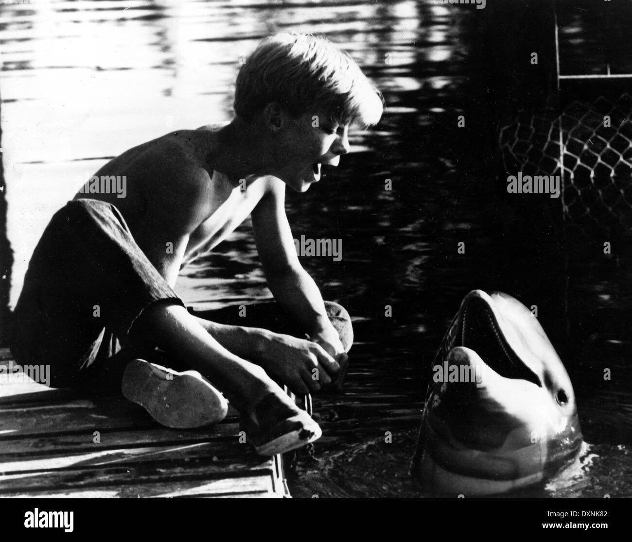 Flipper movie hi-res stock photography and images - Alamy