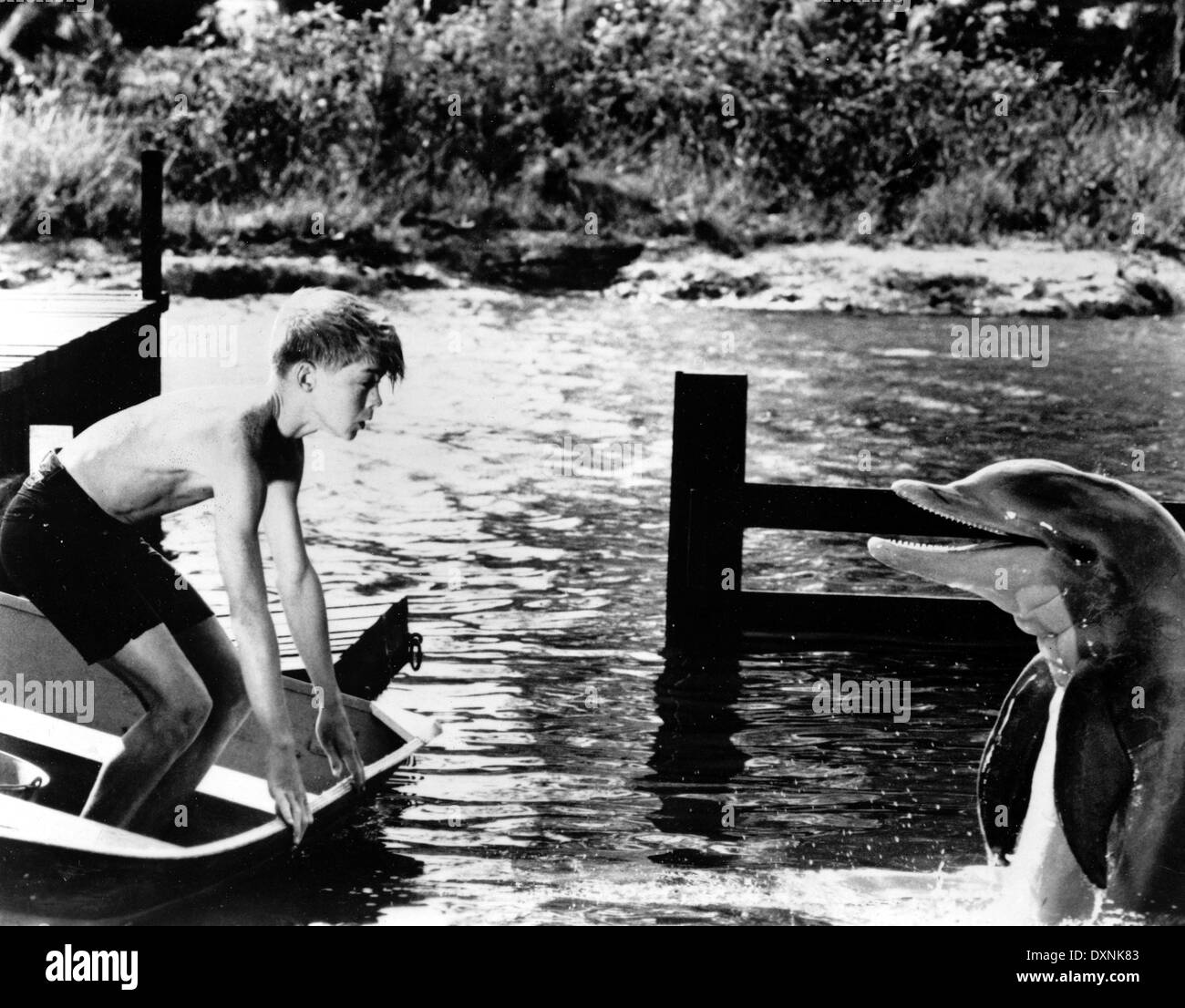 Flipper movie hi-res stock photography and images - Alamy