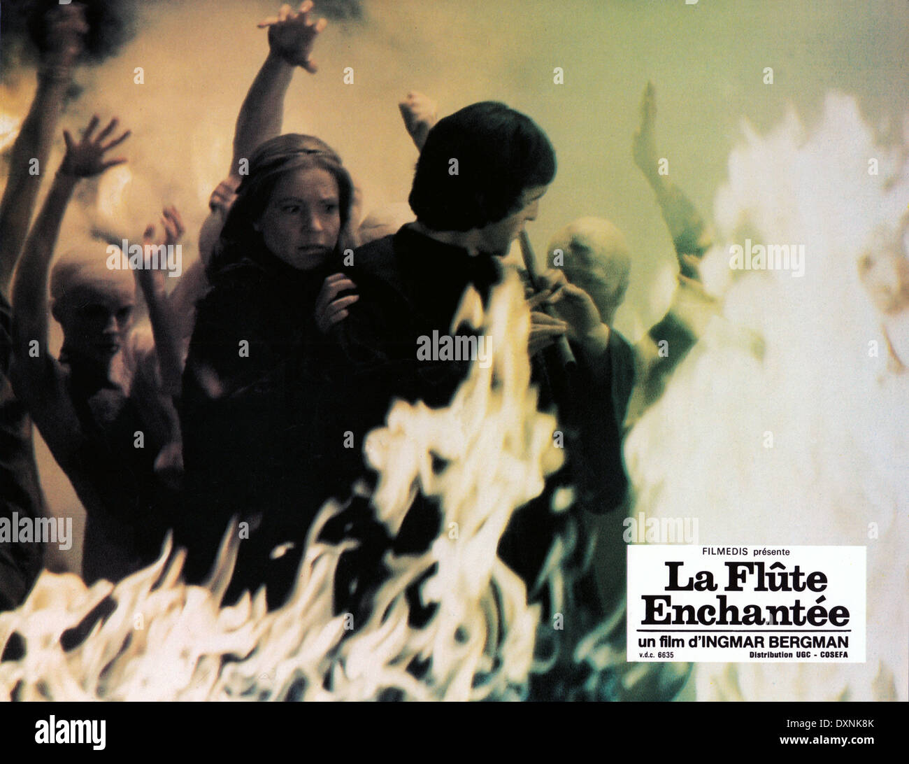 THE MAGIC FLUTE Stock Photo - Alamy