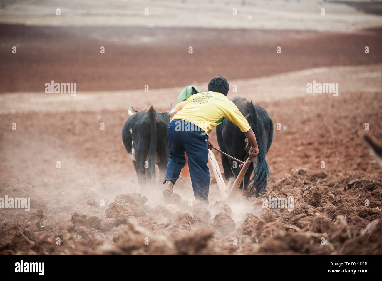 Farmer ploughing field hi-res stock photography and images - Alamy