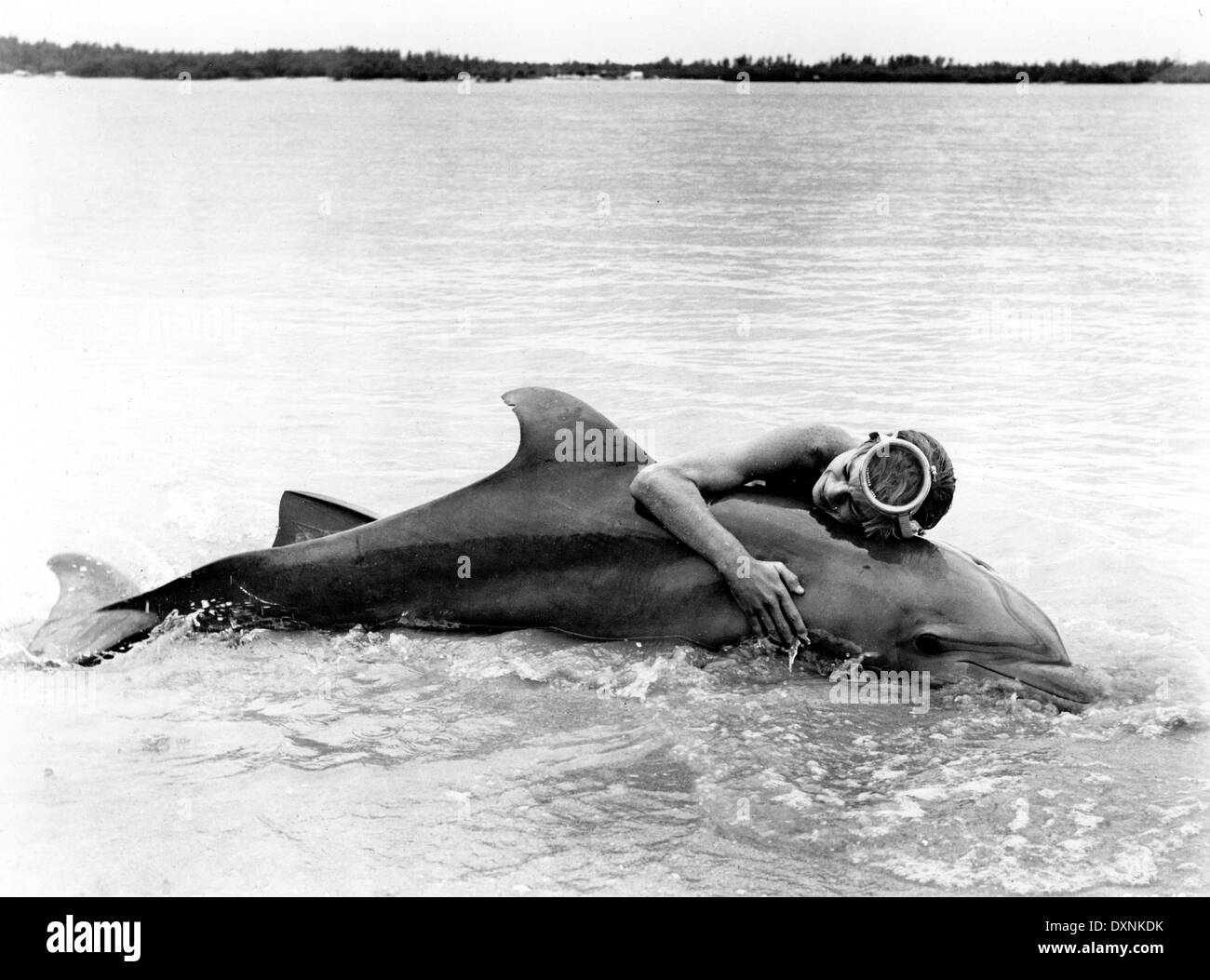 Flipper 1964 hi-res stock photography and images - Alamy