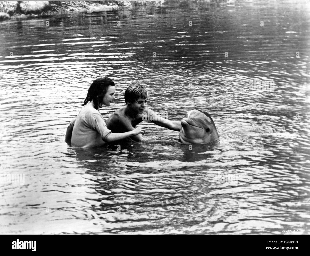 Flipper 1964 hi-res stock photography and images - Alamy