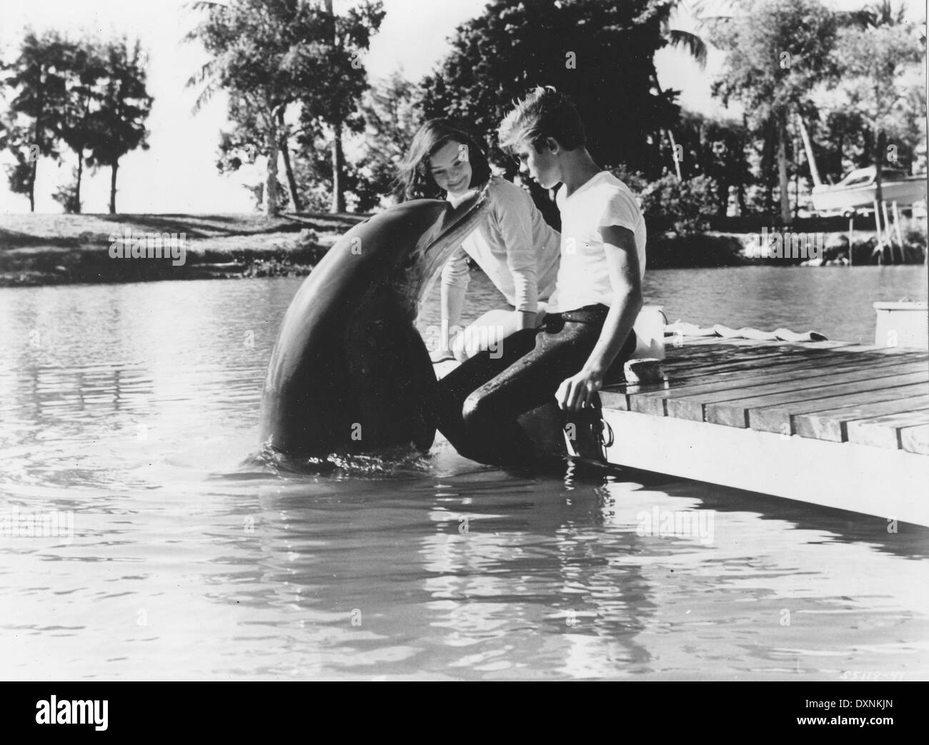 Flipper's new adventure hi-res stock photography and images - Alamy