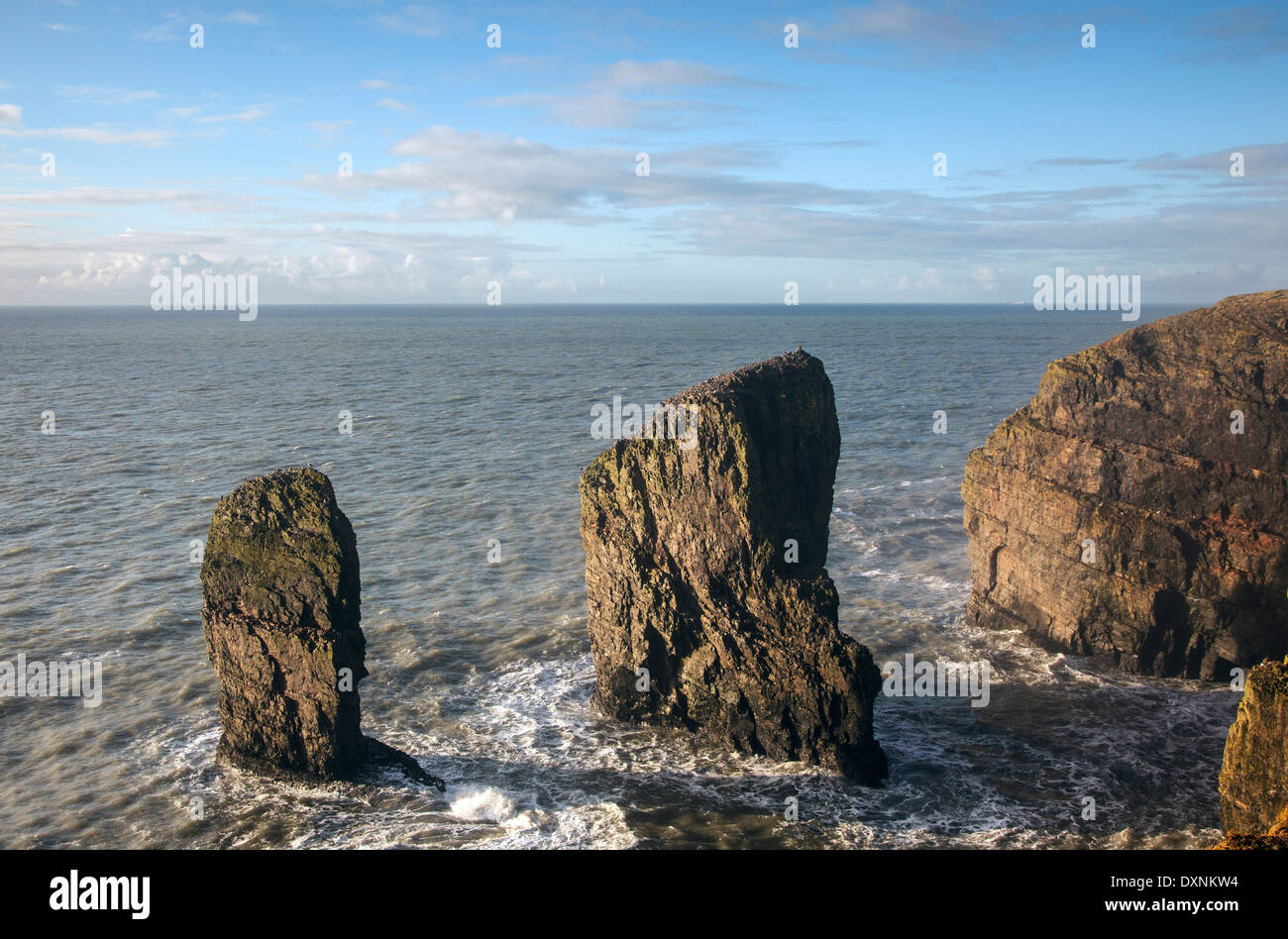 Castlemartin cliffs hi-res stock photography and images - Alamy