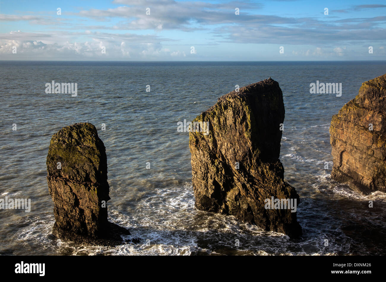 Castlemartin cliffs hi-res stock photography and images - Alamy