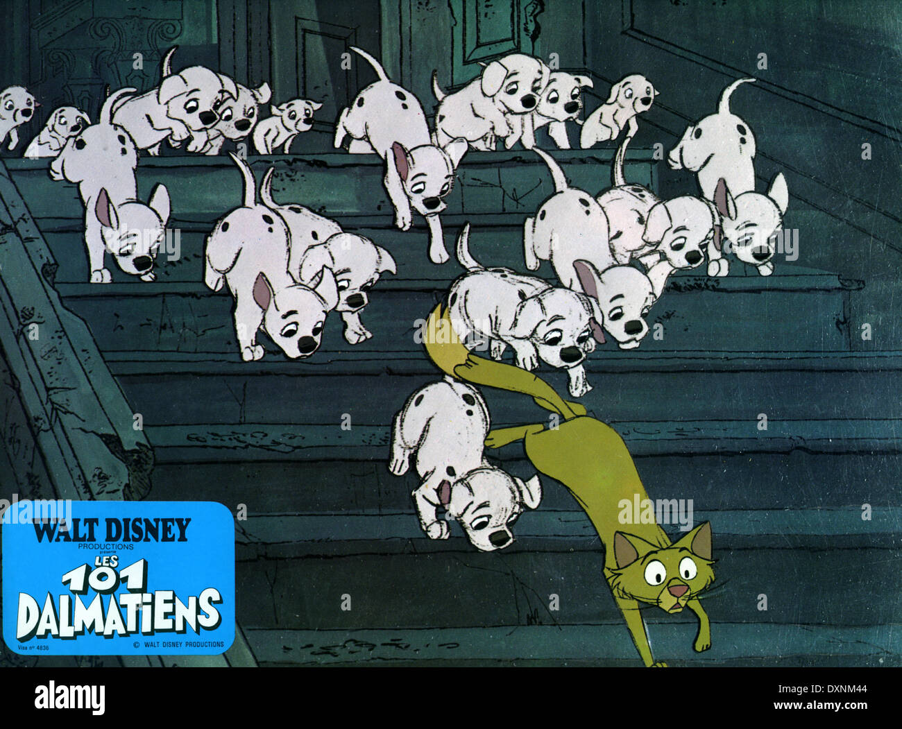 ONE HUNDRED AND ONE DALMATIANS DALMATIANS Stock Photo - Alamy