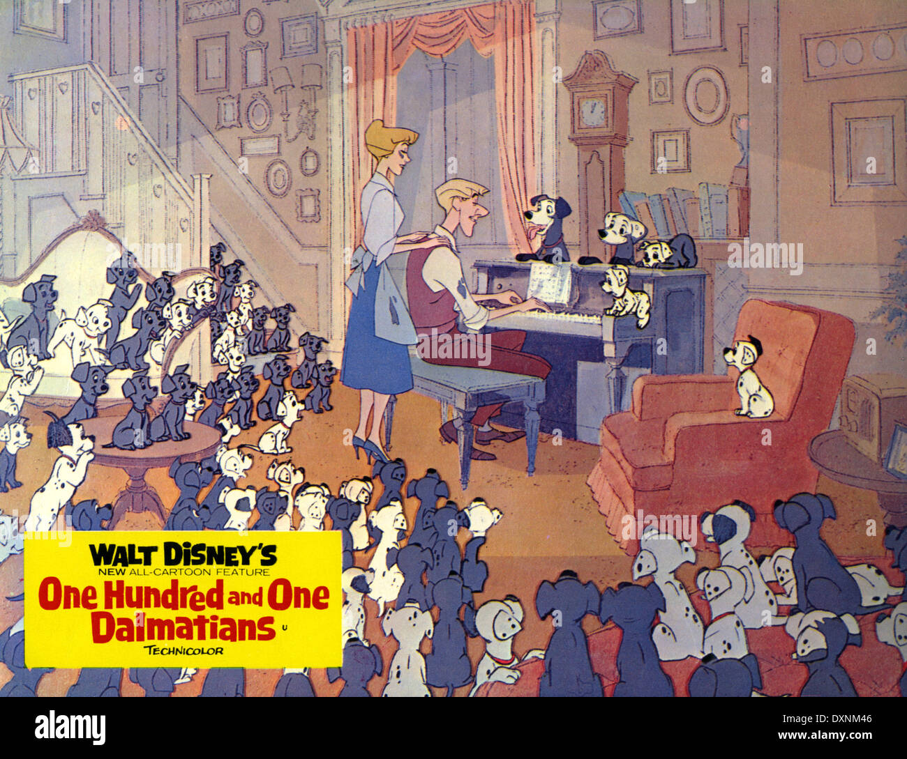 ONE HUNDRED AND ONE DALMATIANS DALMATIANS Stock Photo - Alamy