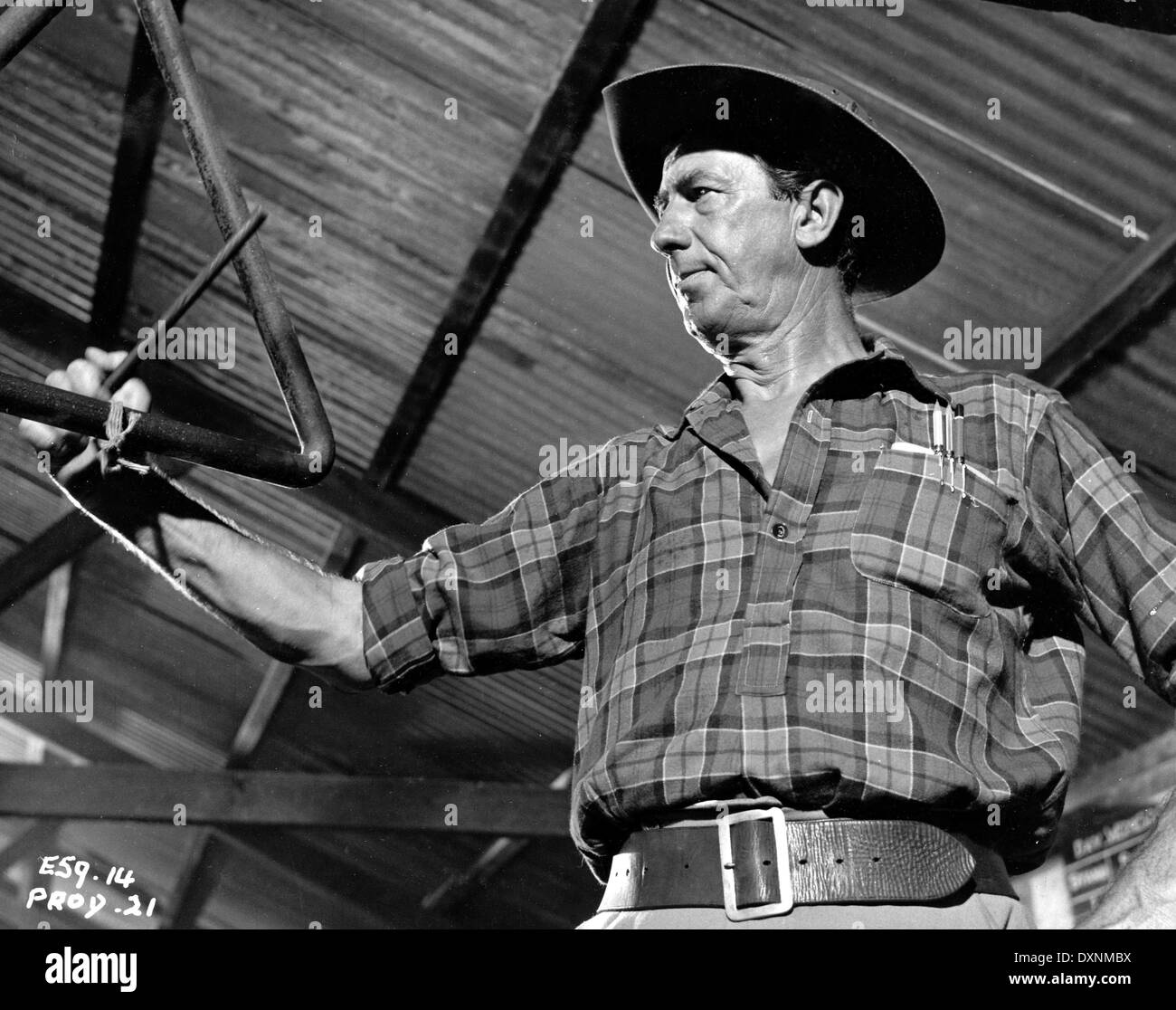 The Sundowners (1960) Stock Photos & The Sundowners (1960) Stock Images ...