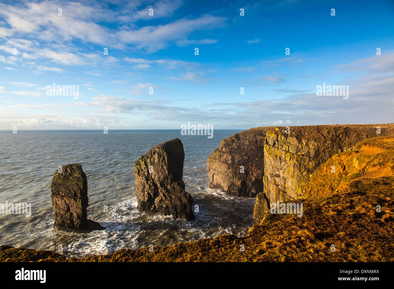 Castlemartin cliffs hi-res stock photography and images - Alamy