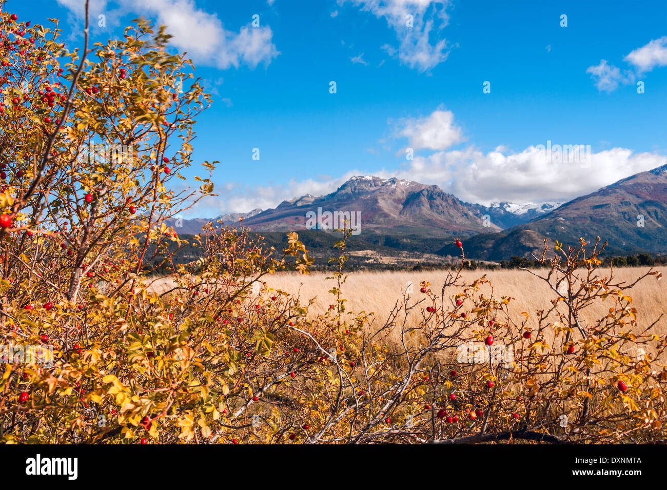 Patagonian landmarks hi-res stock photography and images - Alamy