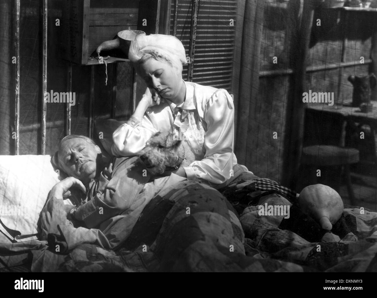 THE PERFECT SNOB Stock Photo - Alamy