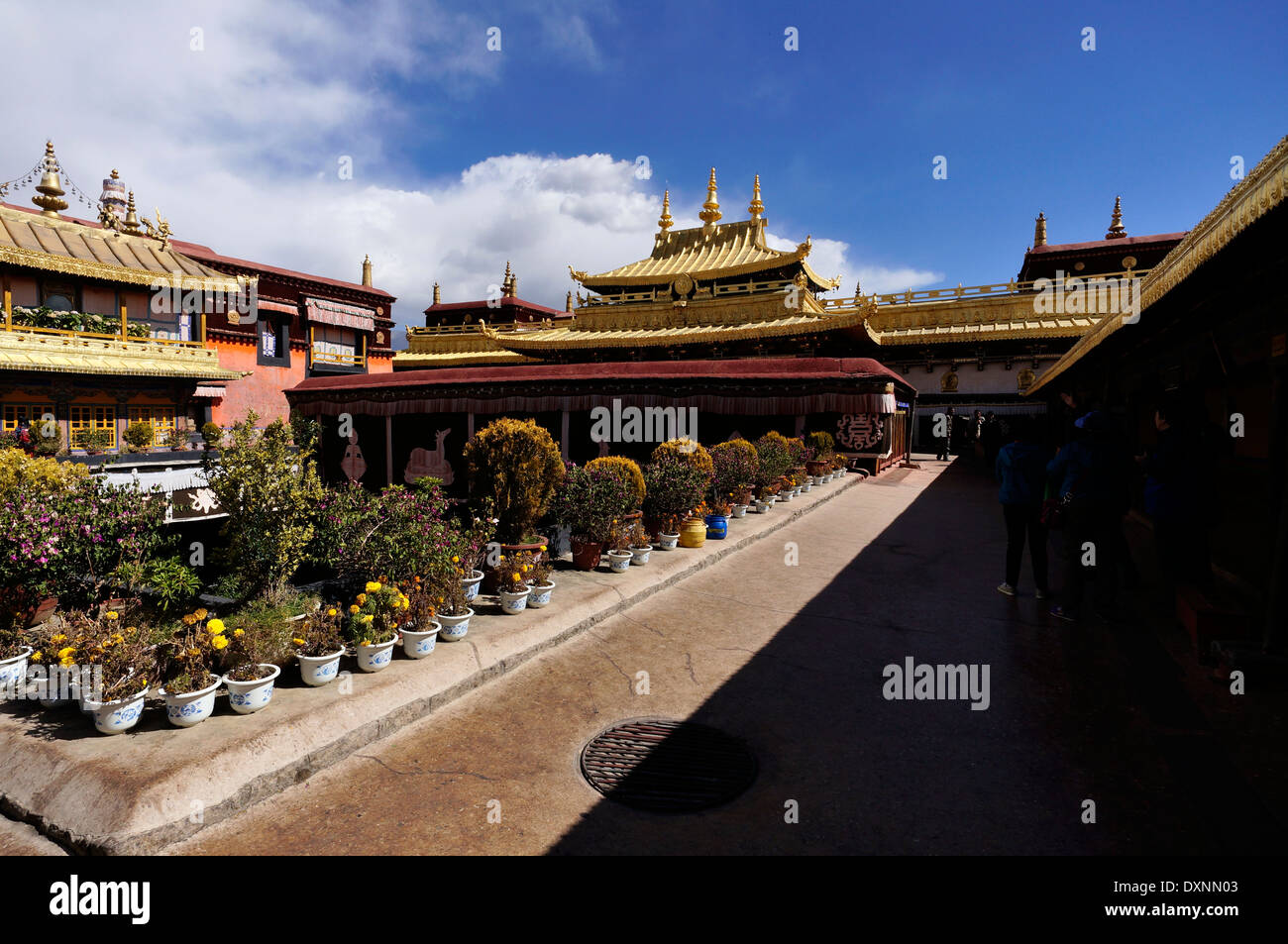 Jokhang monastery hi-res stock photography and images - Alamy