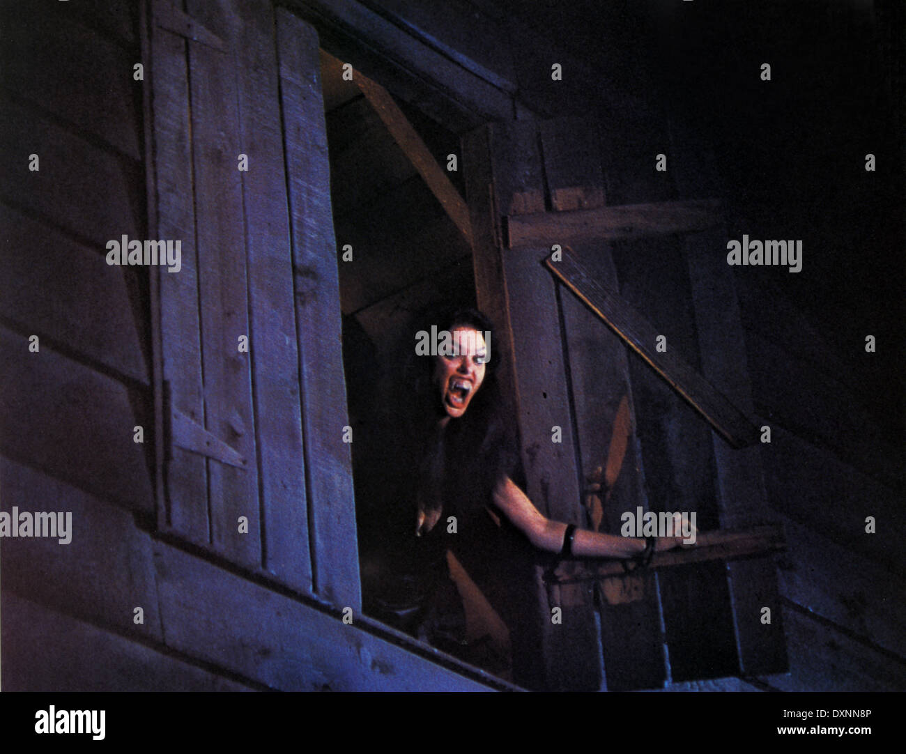 Belinda balaski hi-res stock photography and images - Alamy