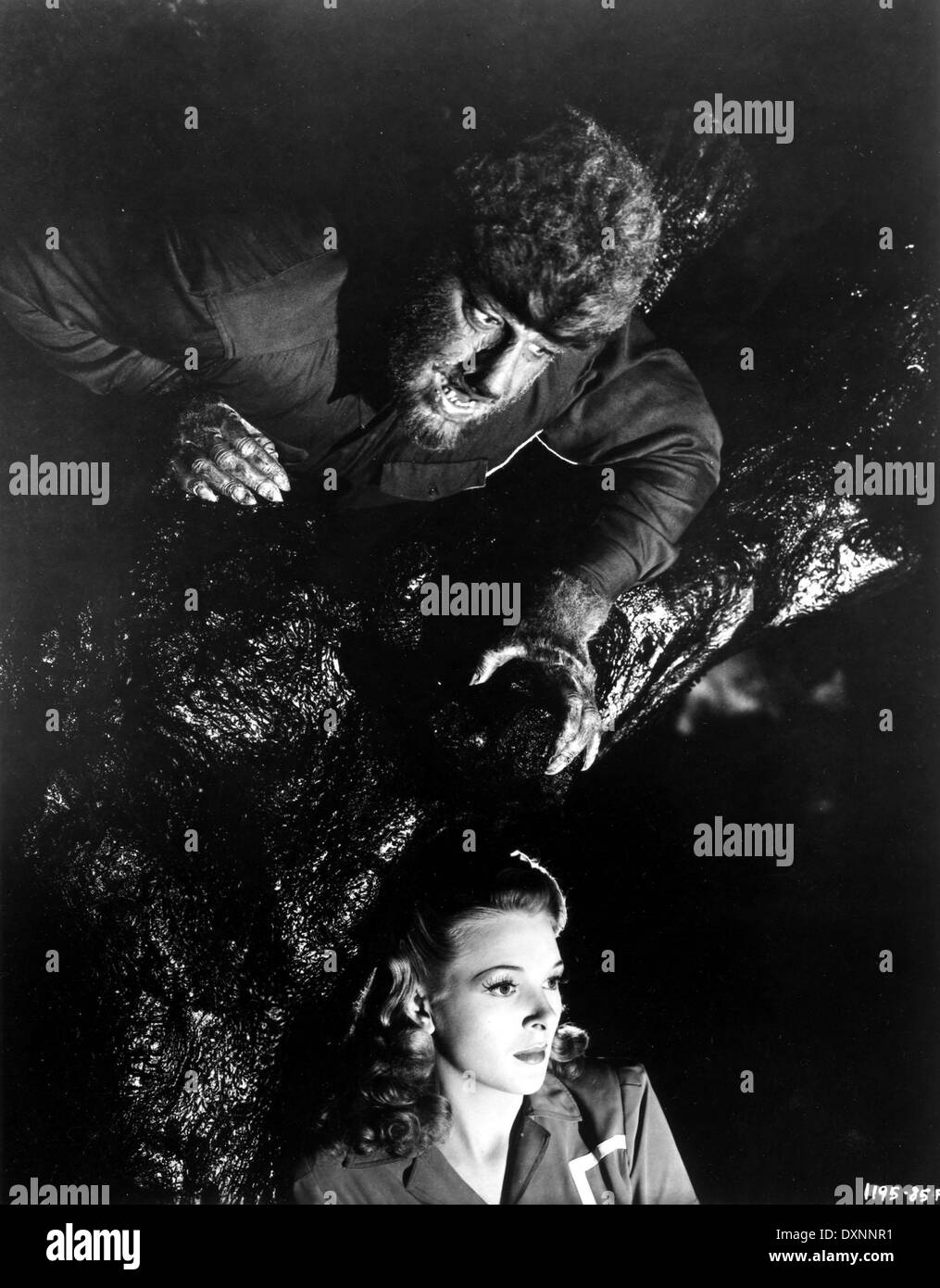 THE WOLF MAN Stock Photo - Alamy