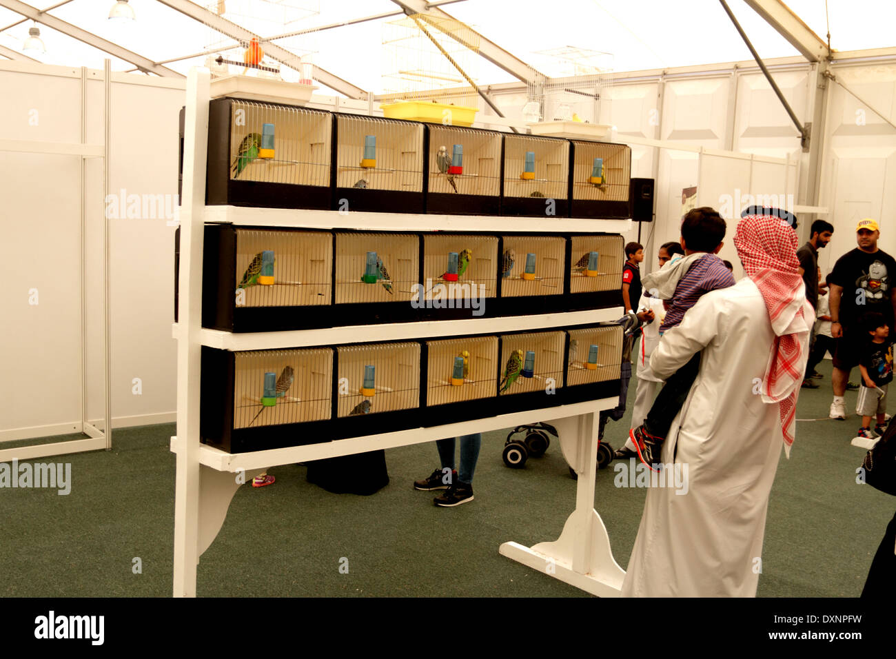 Bahraini man and his son looking at budgies at the Bahrain Animal ...