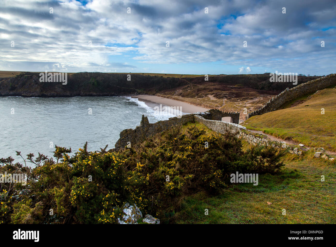 Barafundle bay pembrokeshire west wales hi-res stock photography and ...