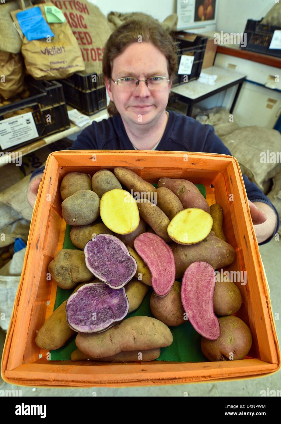 Rote emmalie hi-res stock photography and images - Alamy