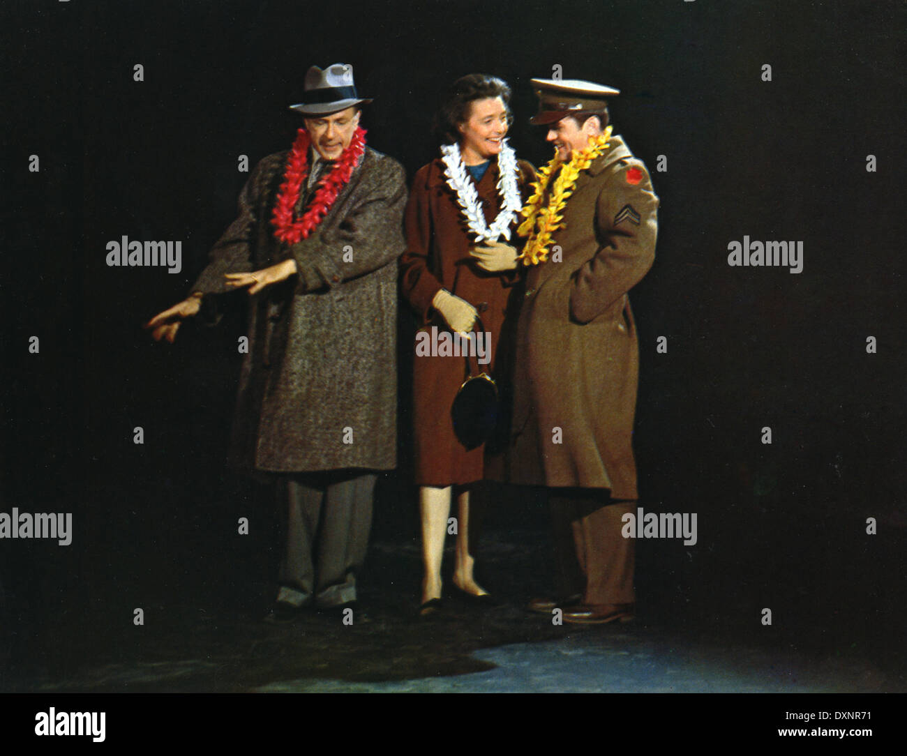 THE SUBJECT WAS ROSES Stock Photo - Alamy