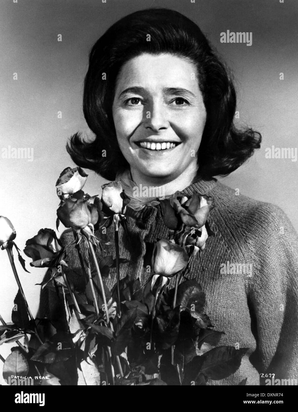 Patricia rose hi-res stock photography and images - Alamy