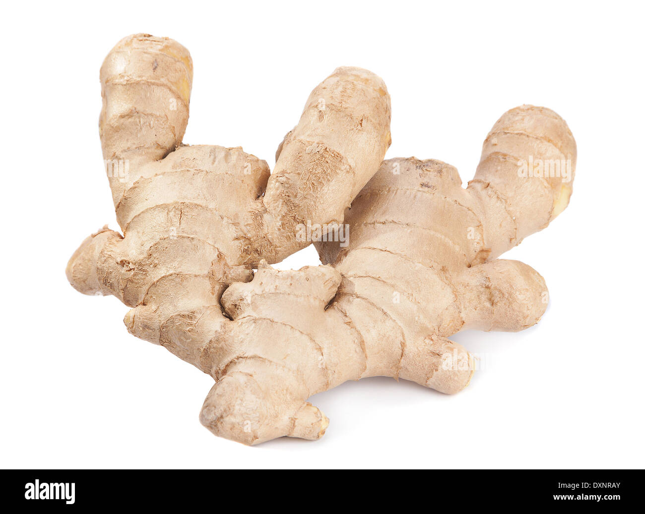 Gringer root closeup isolated on white Stock Photo - Alamy