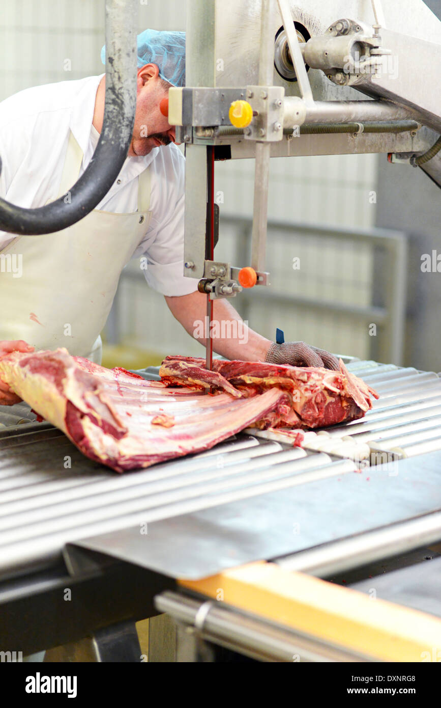 Meat processing plant germany hi-res stock photography and images - Alamy