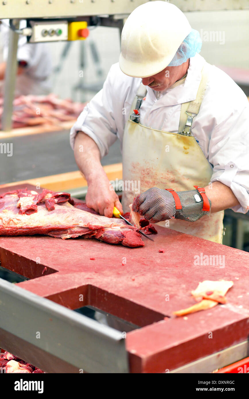 Meat processing plant germany hi-res stock photography and images - Alamy