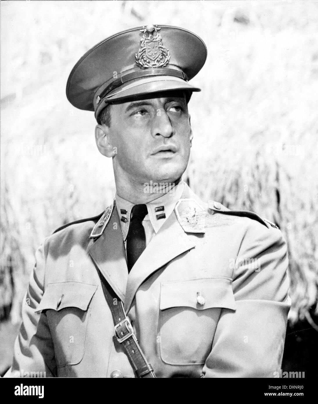 THE POWER AND THE GLORY Stock Photo - Alamy