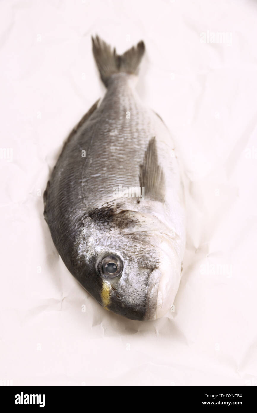 Fresh bream fish on sepia parchment paper, top view Stock Photo - Alamy