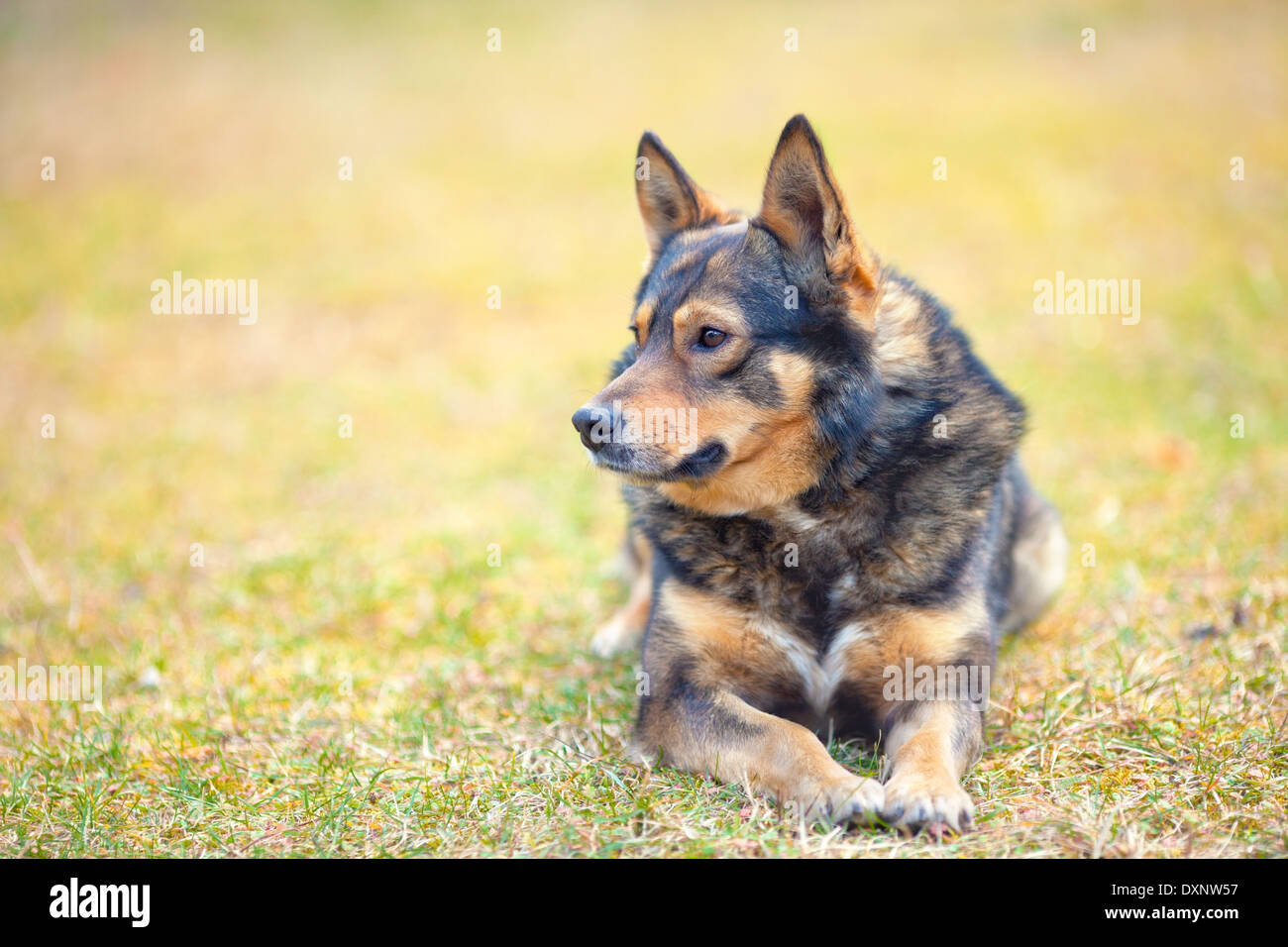 Rest outdoor hi-res stock photography and images - Alamy