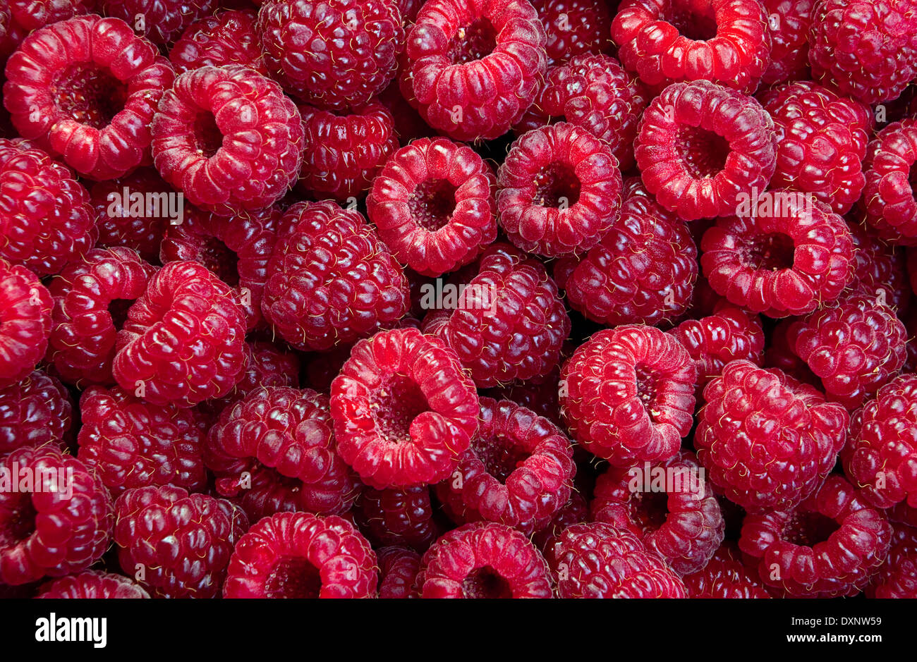 Ripe raspberry fruits closeup background Stock Photo - Alamy