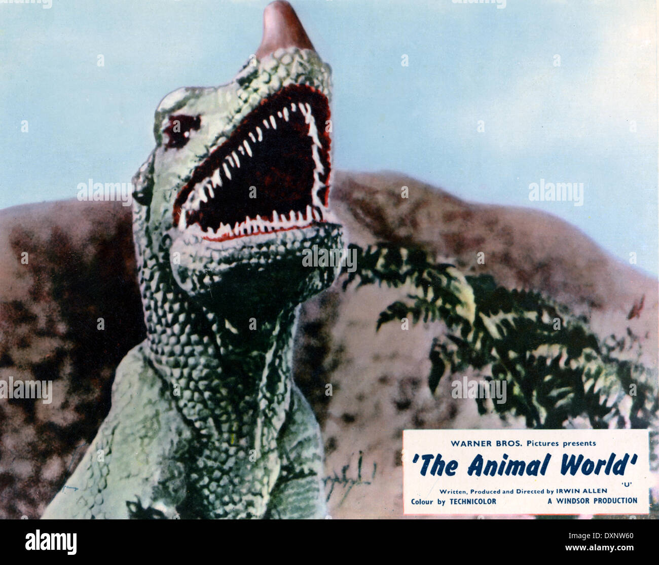 THE ANIMAL WORLD Stock Photo - Alamy