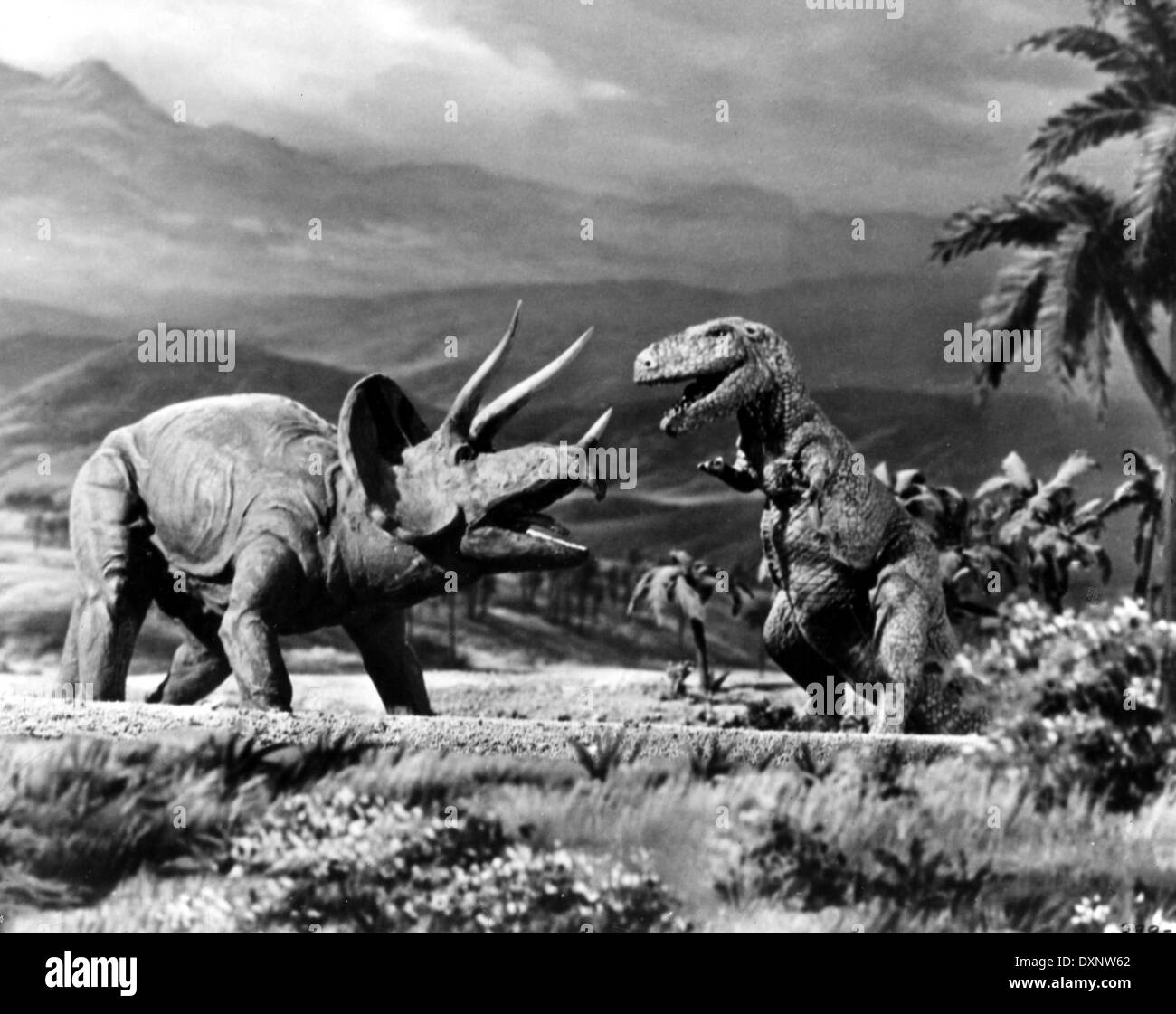 The animal world Black and White Stock Photos & Images - Alamy