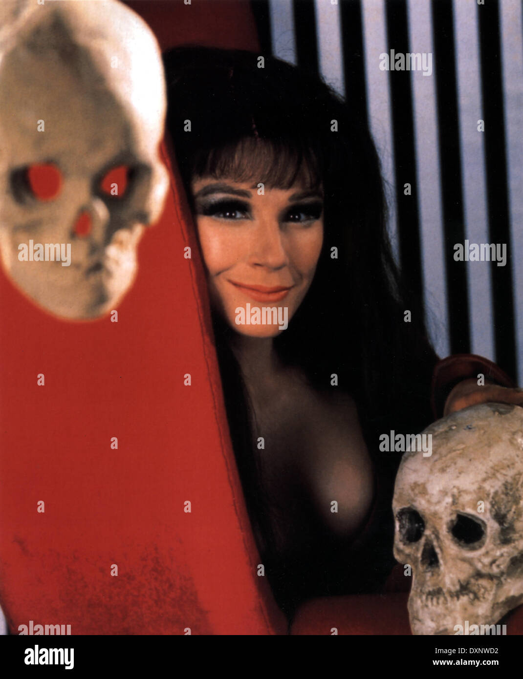 Fenella fielding hi-res stock photography and images - Alamy
