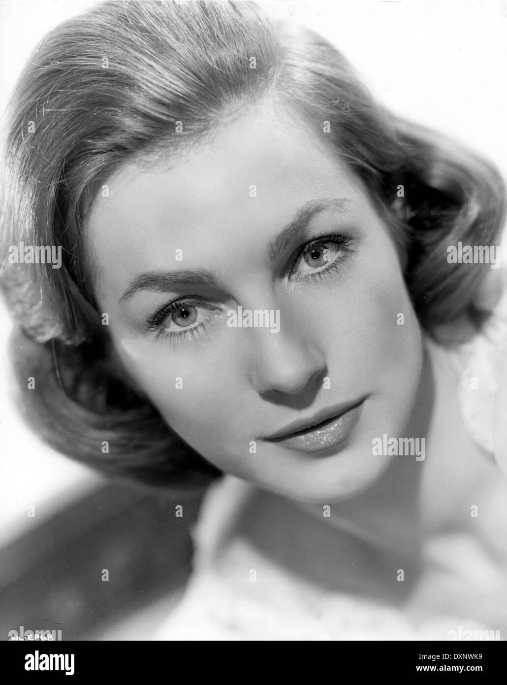 SHIRLEY ANNE FIELD Stock Photo - Alamy