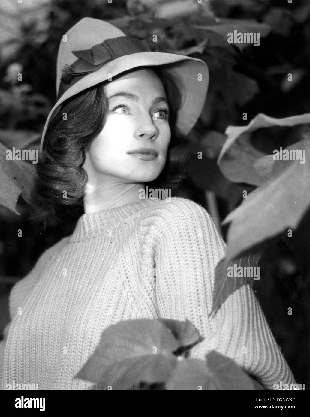 Shirley anne field hi-res stock photography and images - Alamy