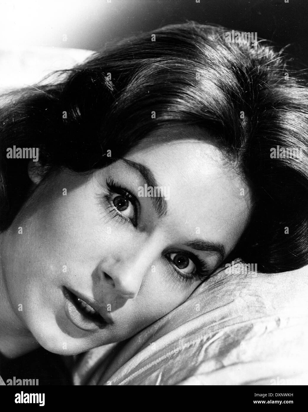 Shirley anne field hi-res stock photography and images - Alamy