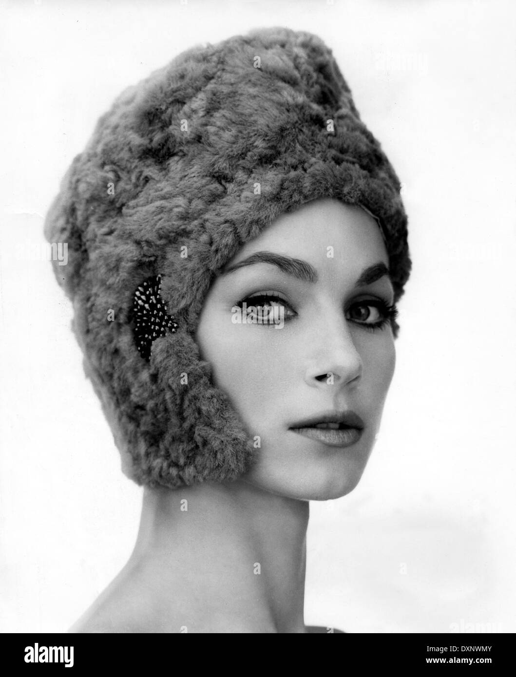 Shirley Anne Field Pinup