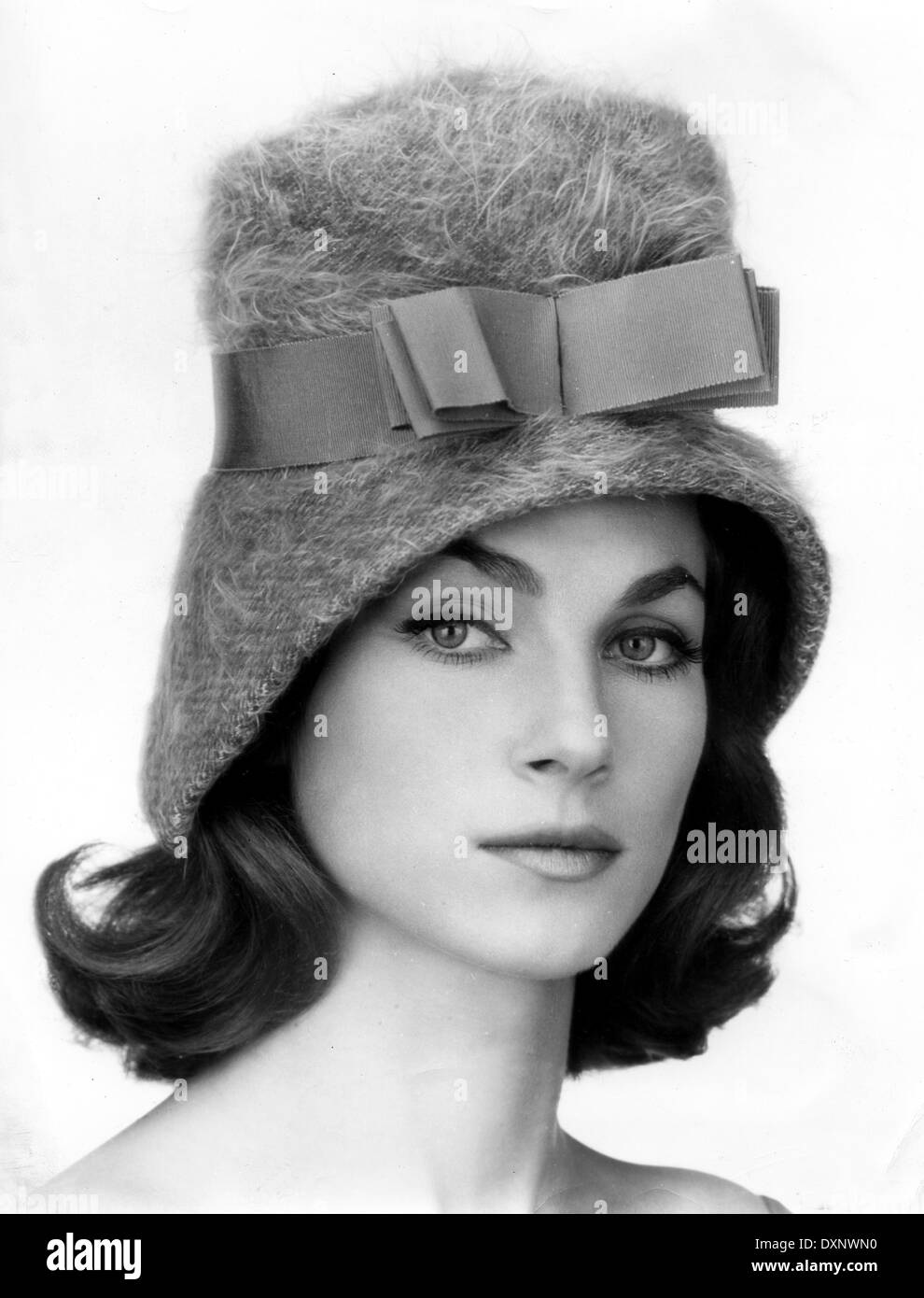 SHIRLEY ANNE FIELD Stock Photo - Alamy