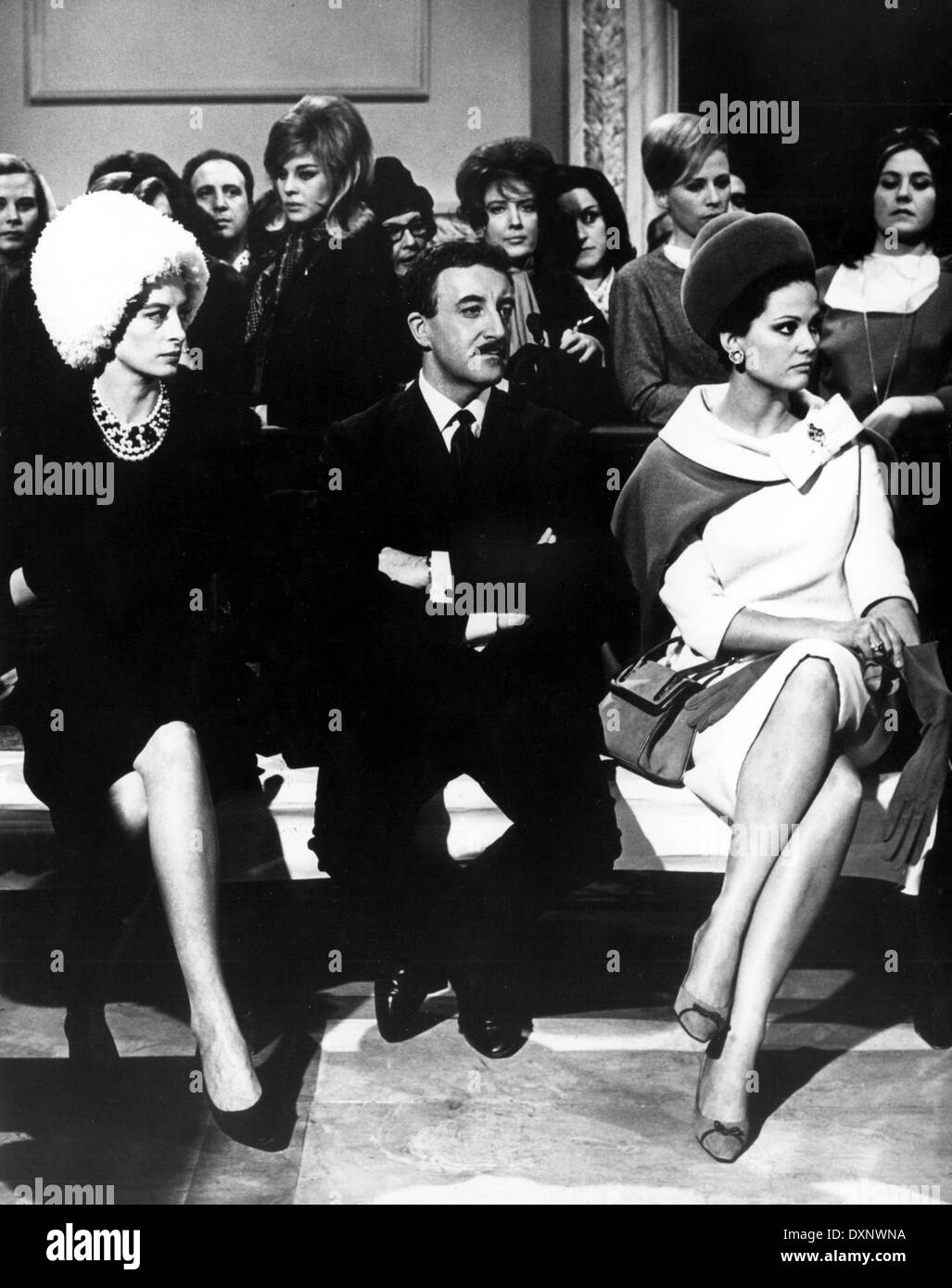 Capucine Pink Panther High Resolution Stock Photography and Images - Alamy