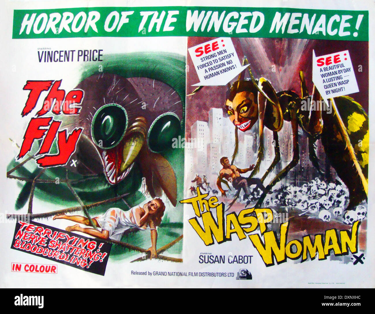 The fly vincent hi-res stock photography and images - Alamy