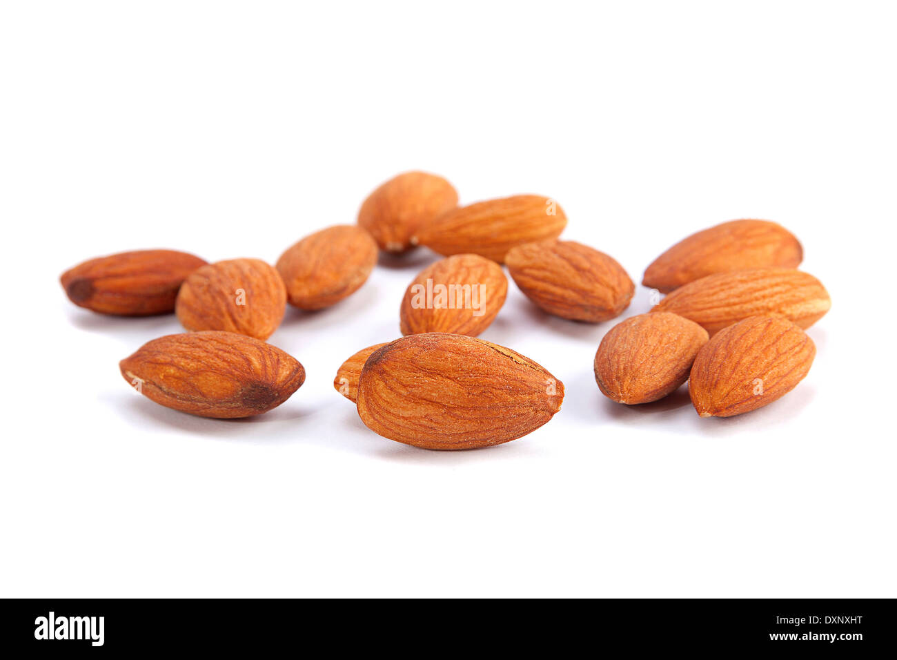 Almond nut seed closeup isolated on white Stock Photo - Alamy