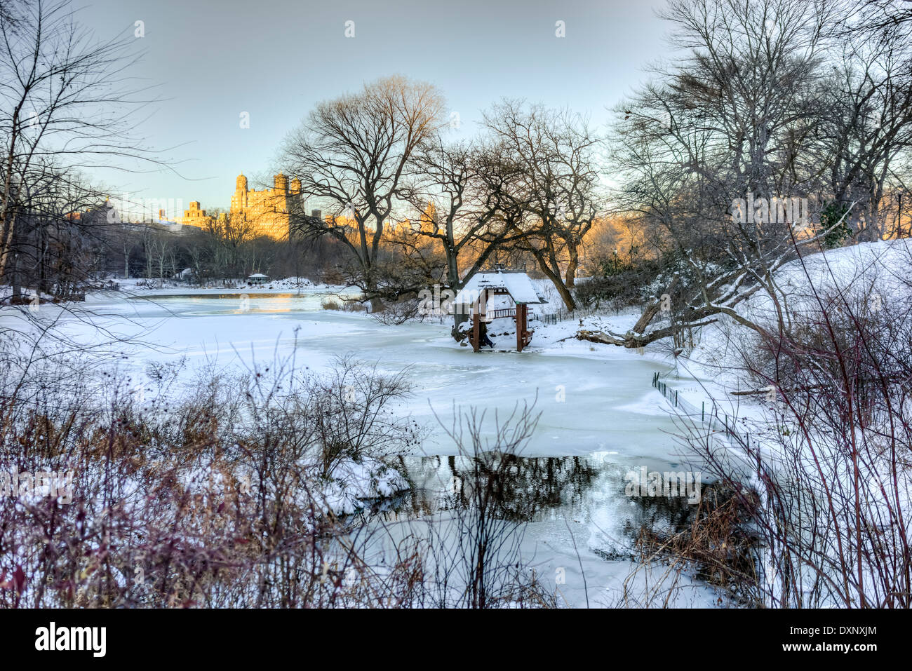 Central Park, New York City after snow storm Stock Photo - Alamy