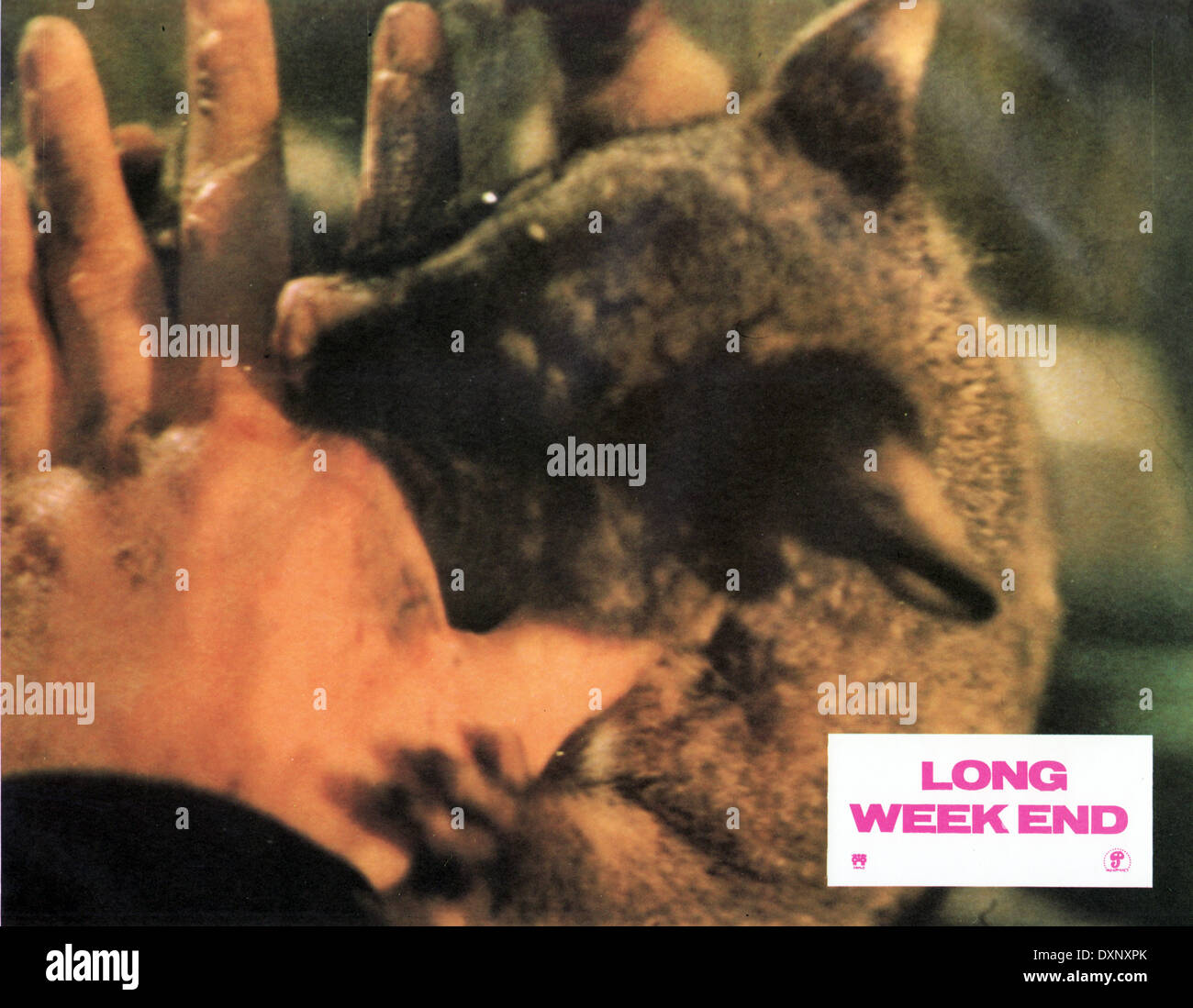 Long weekend 1978 hi-res stock photography and images - Alamy