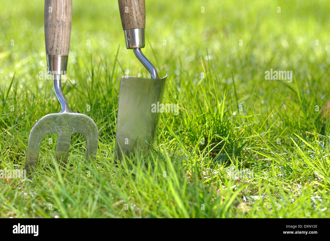 garden tools planted in the green grass Stock Photo - Alamy