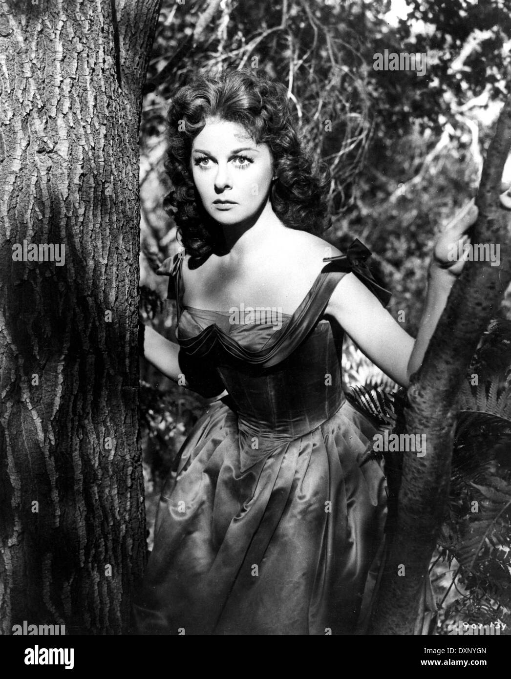 Untamed 1955 hi-res stock photography and images - Alamy