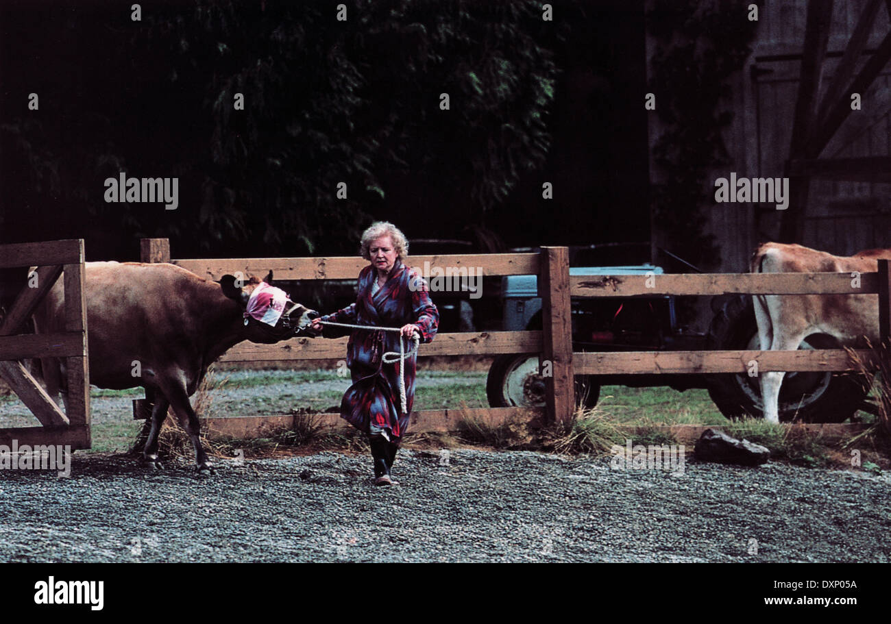 Lake placid 1999 hi-res stock photography and images - Alamy