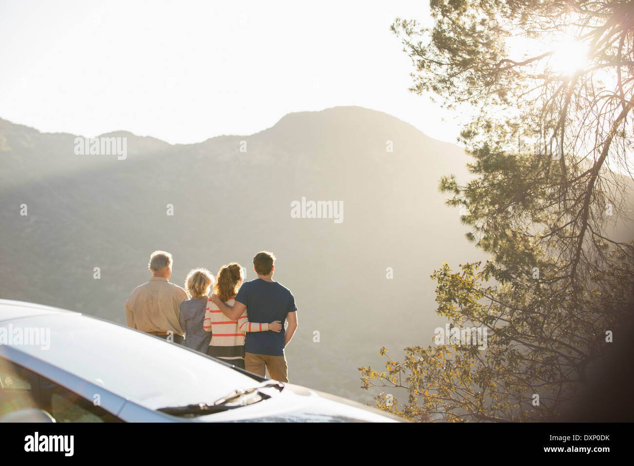 Looking at family tree hi-res stock photography and images - Alamy