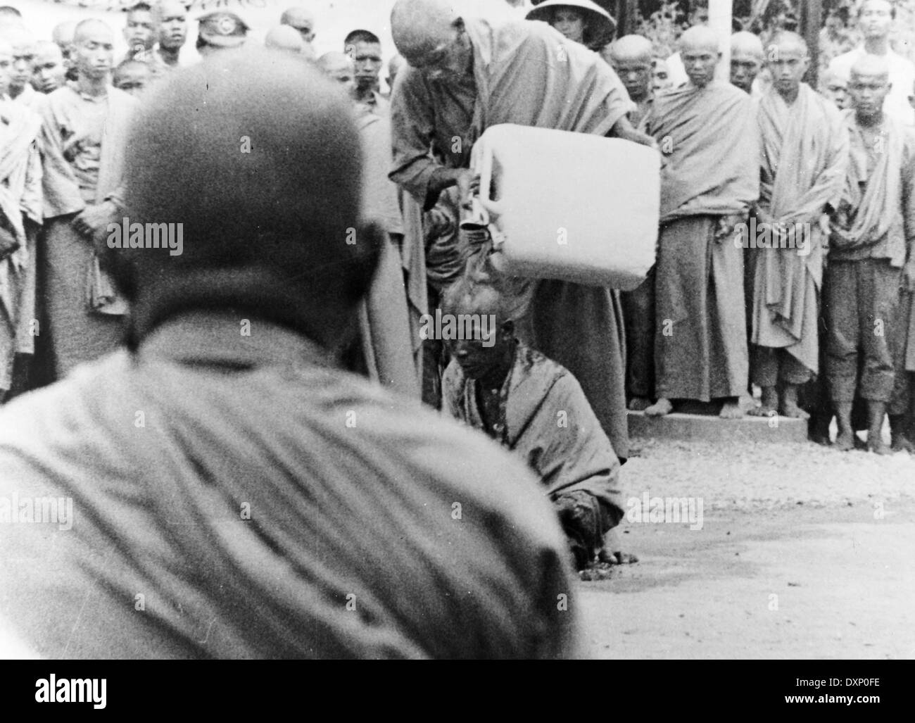 Mondo cane hi-res stock photography and images - Alamy